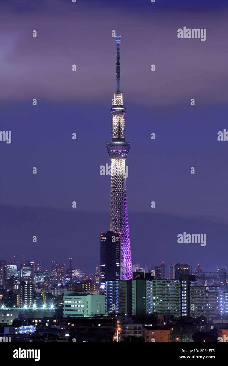 Night view of the Sky Tree Stock Photo - Alamy