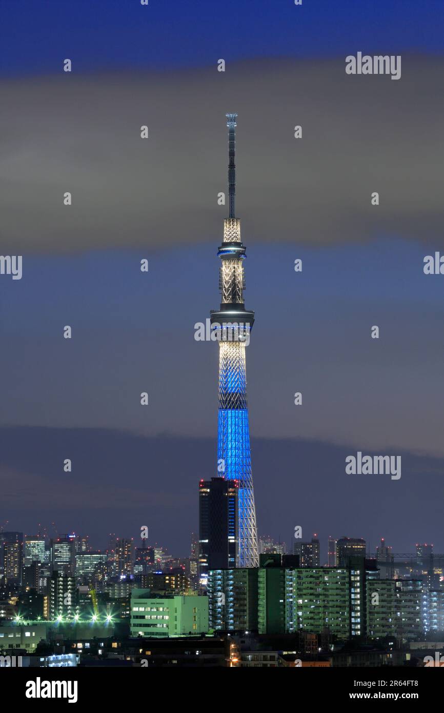 Night view of the Sky Tree Stock Photo - Alamy