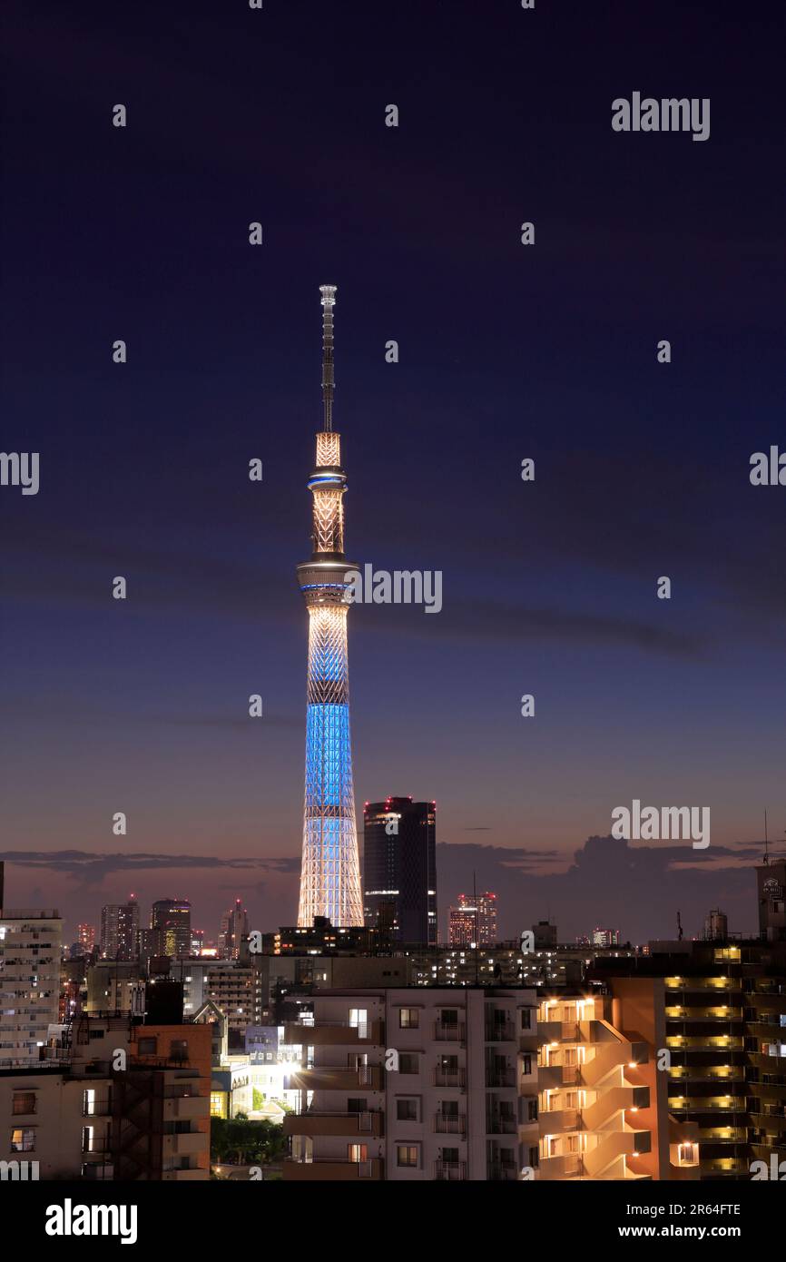 Night view of Sky Tree and cityscape Stock Photo - Alamy