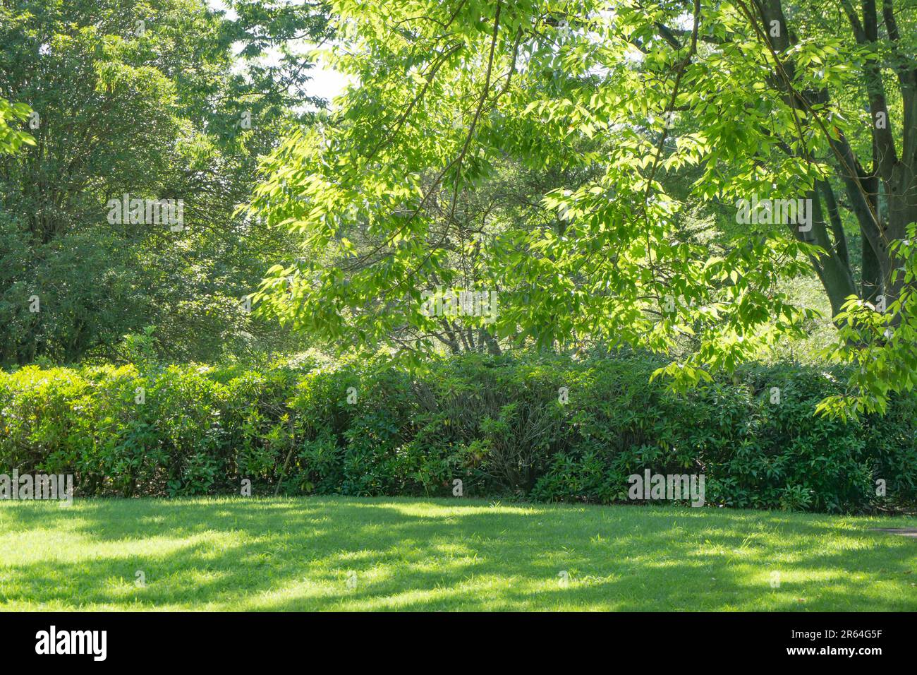Summer commemoration hi-res stock photography and images - Alamy