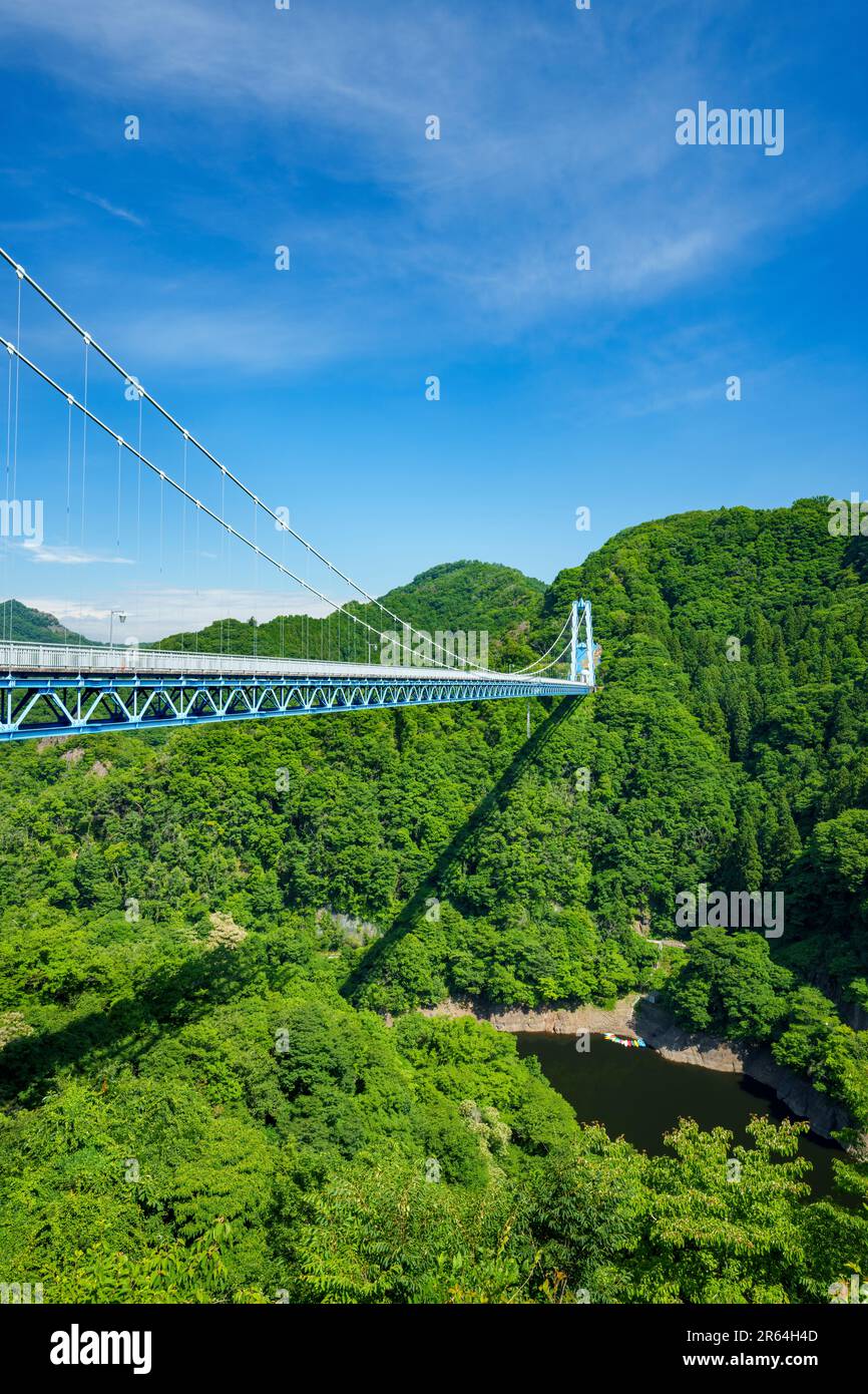 Ryujin Suspension Bridge and mountain range Stock Photo - Alamy