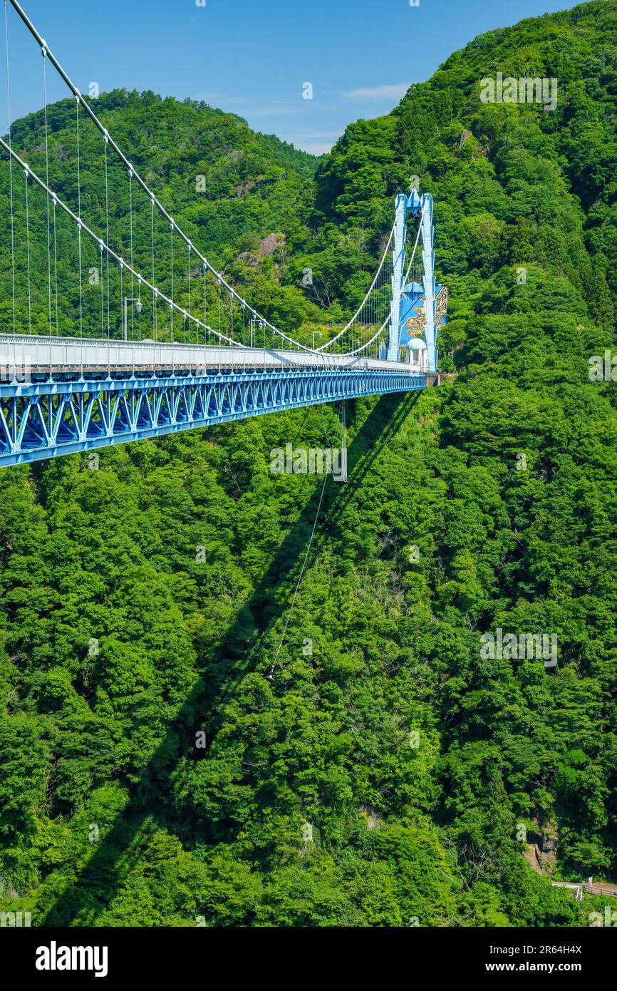 Ryujin Suspension Bridge and bungee jumping Stock Photo - Alamy