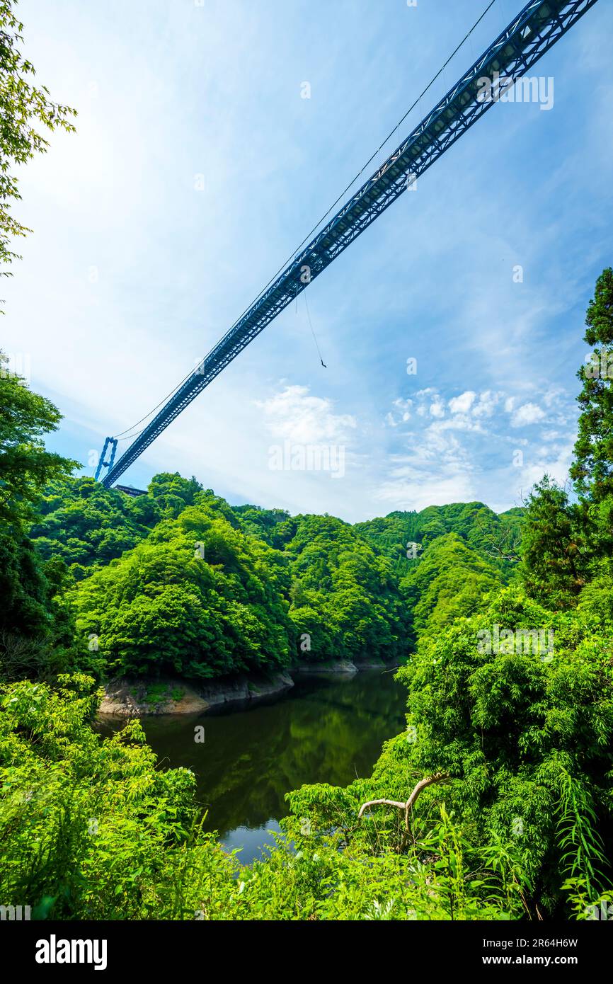 Ryujin Suspension Bridge and bungee jumping Stock Photo - Alamy
