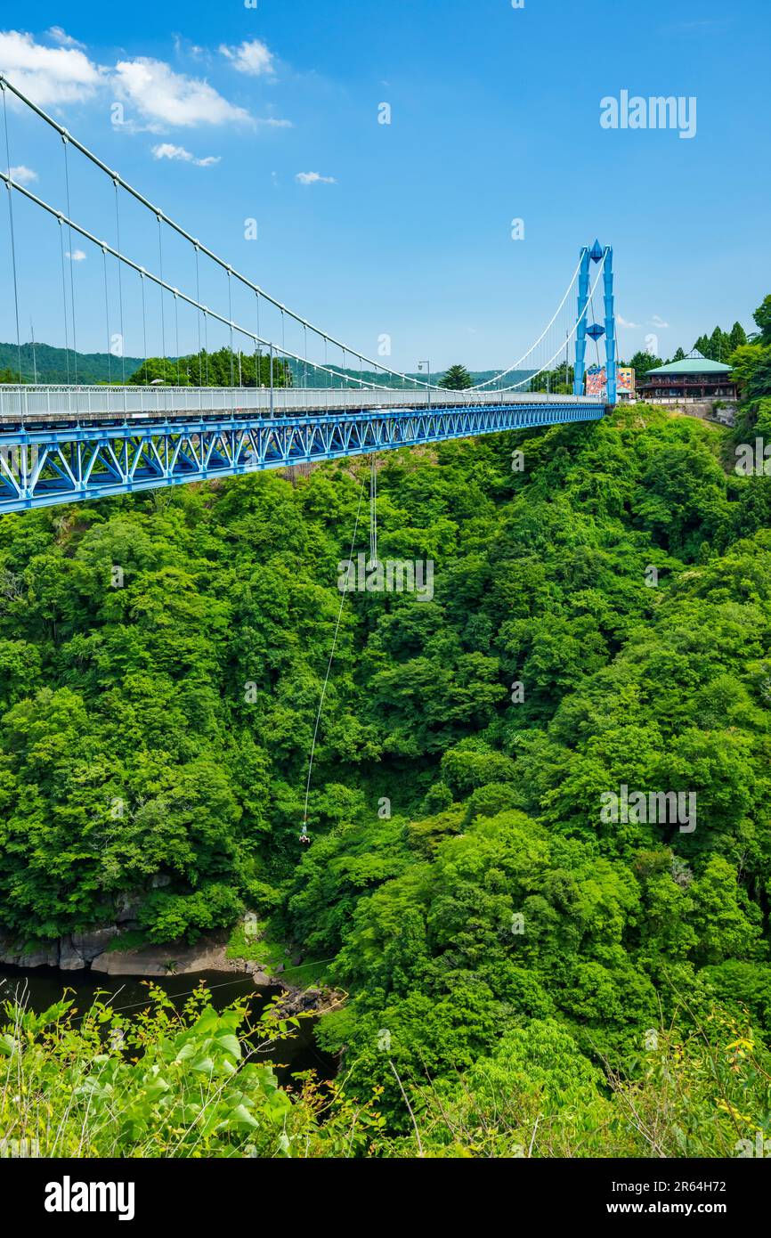Ryujin Suspension Bridge and bungee jumping Stock Photo - Alamy