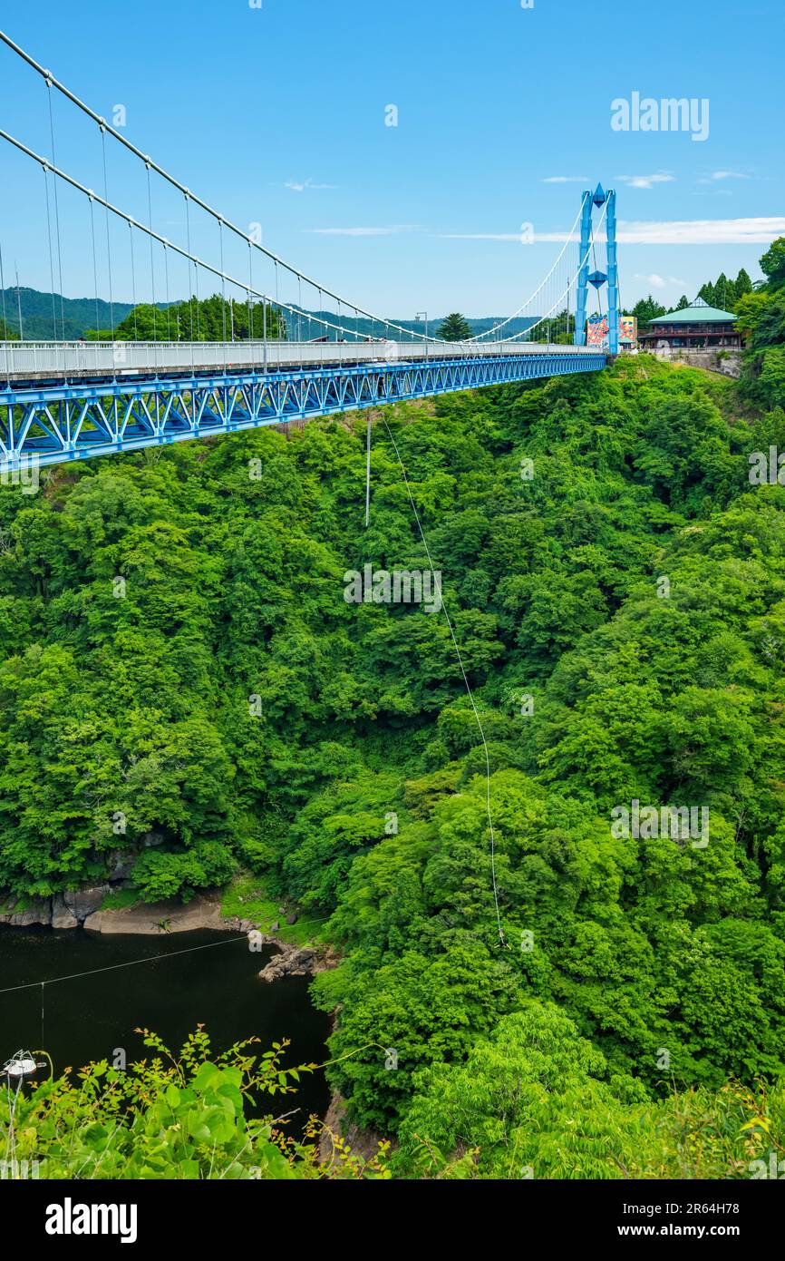 Ryujin Suspension Bridge and bungee jumping Stock Photo - Alamy