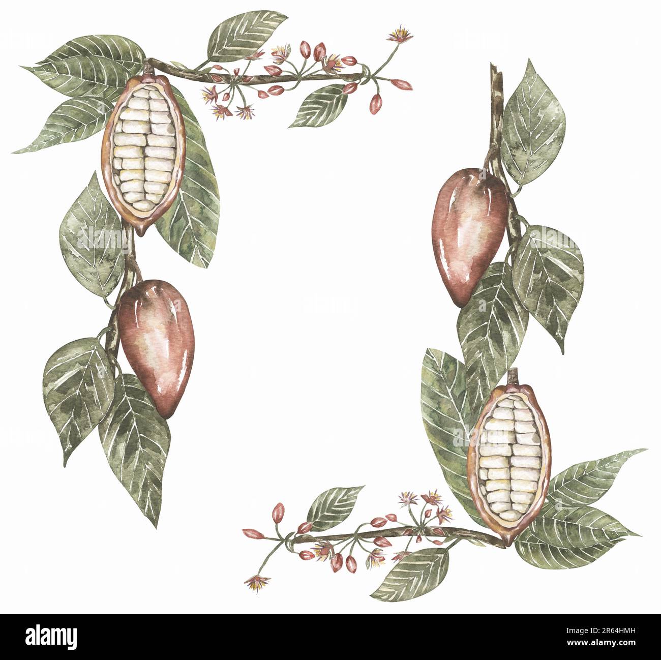 Watercolor hand drawn vintage style cacao branch and golden liner frame ...