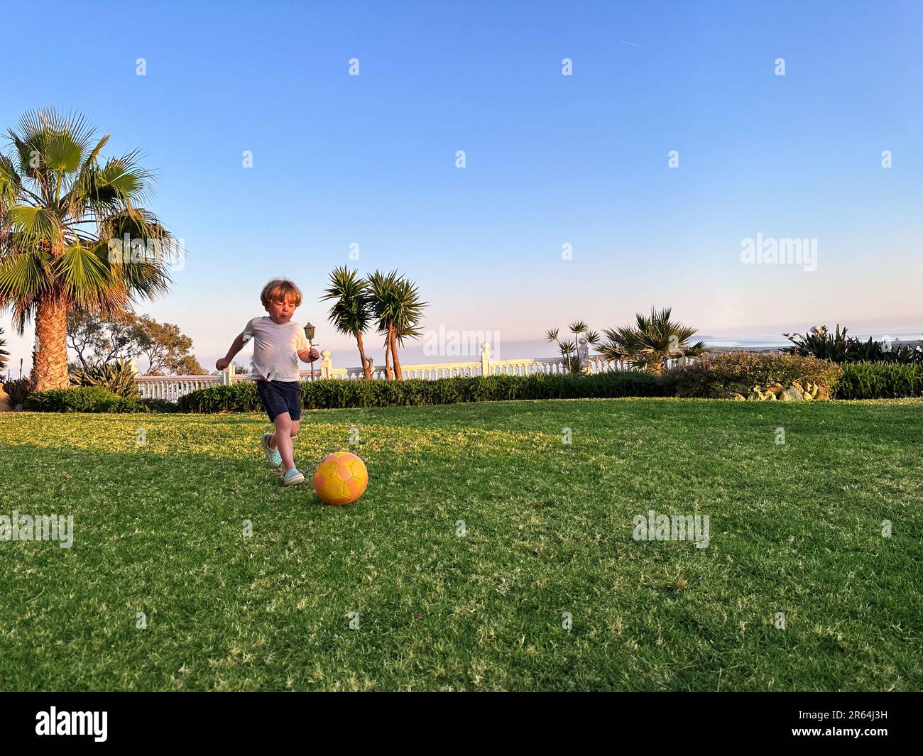 Little boy play football on lawn in sunset lights Stock Photo - Alamy