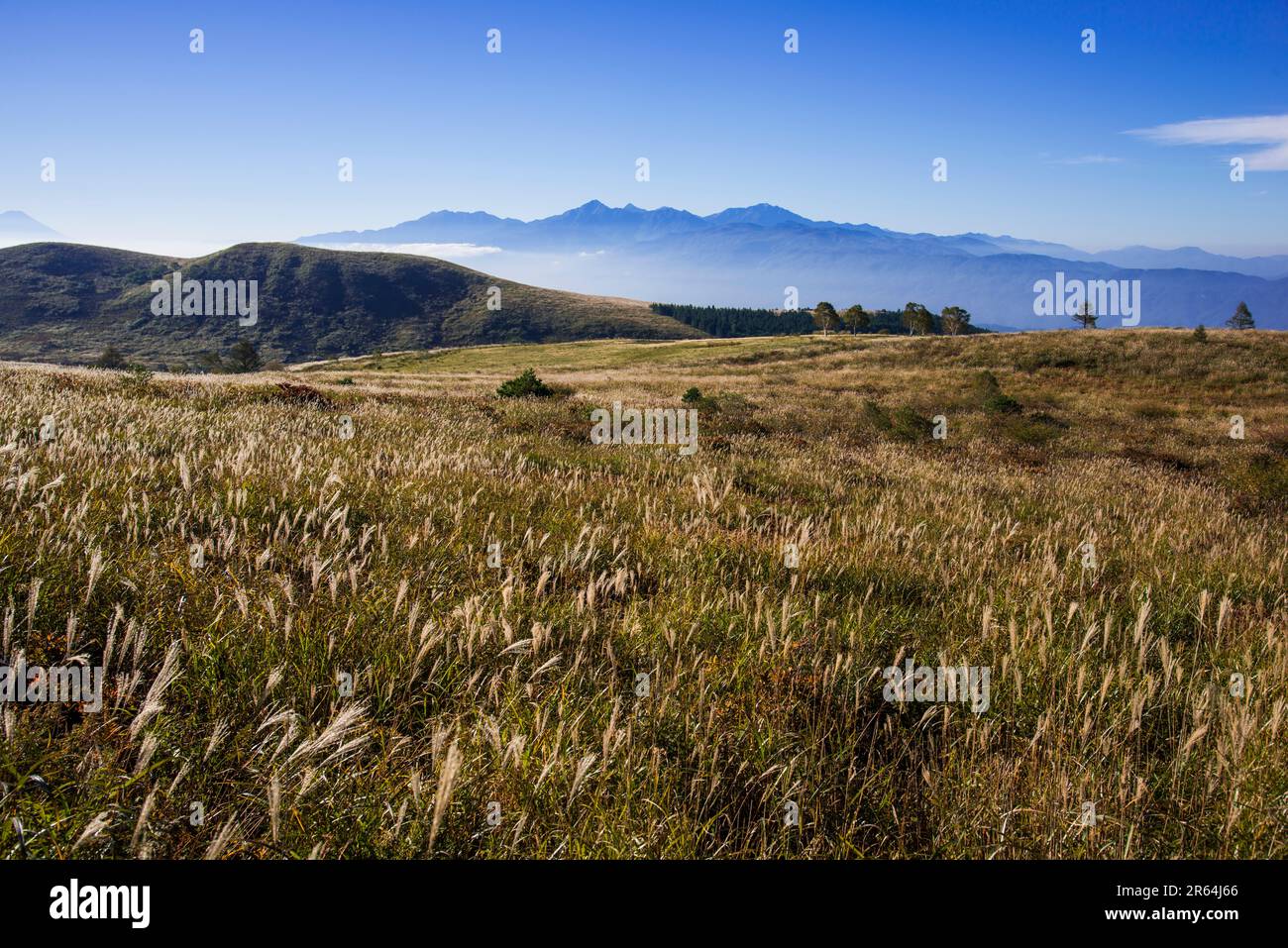 Japanese southern alps hi-res stock photography and images - Alamy