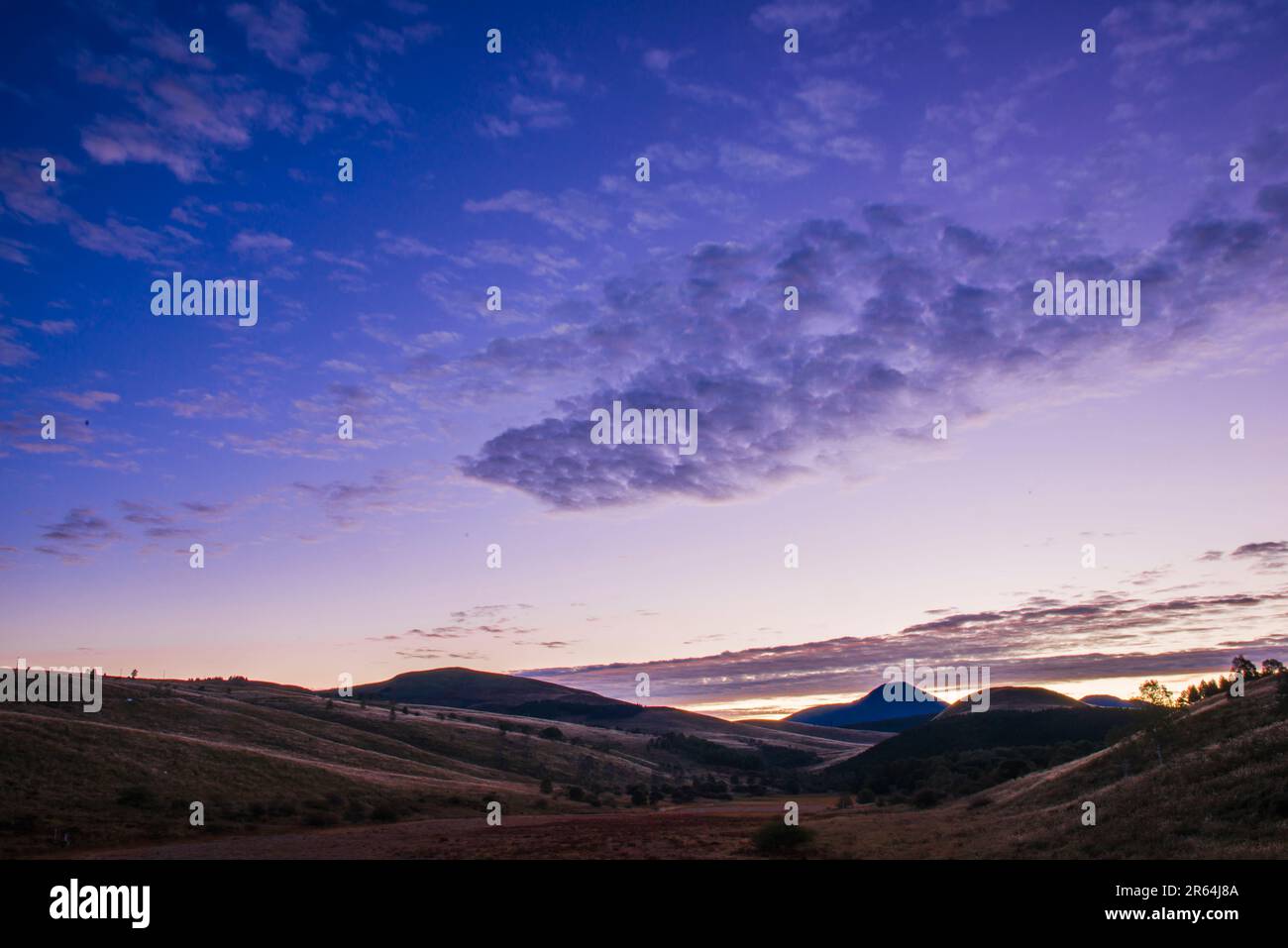Odoriba marshland at dawn Stock Photo - Alamy