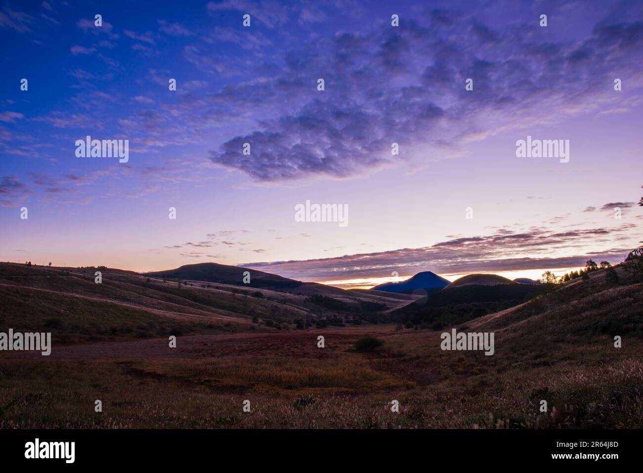 Odoriba marshland at dawn Stock Photo - Alamy