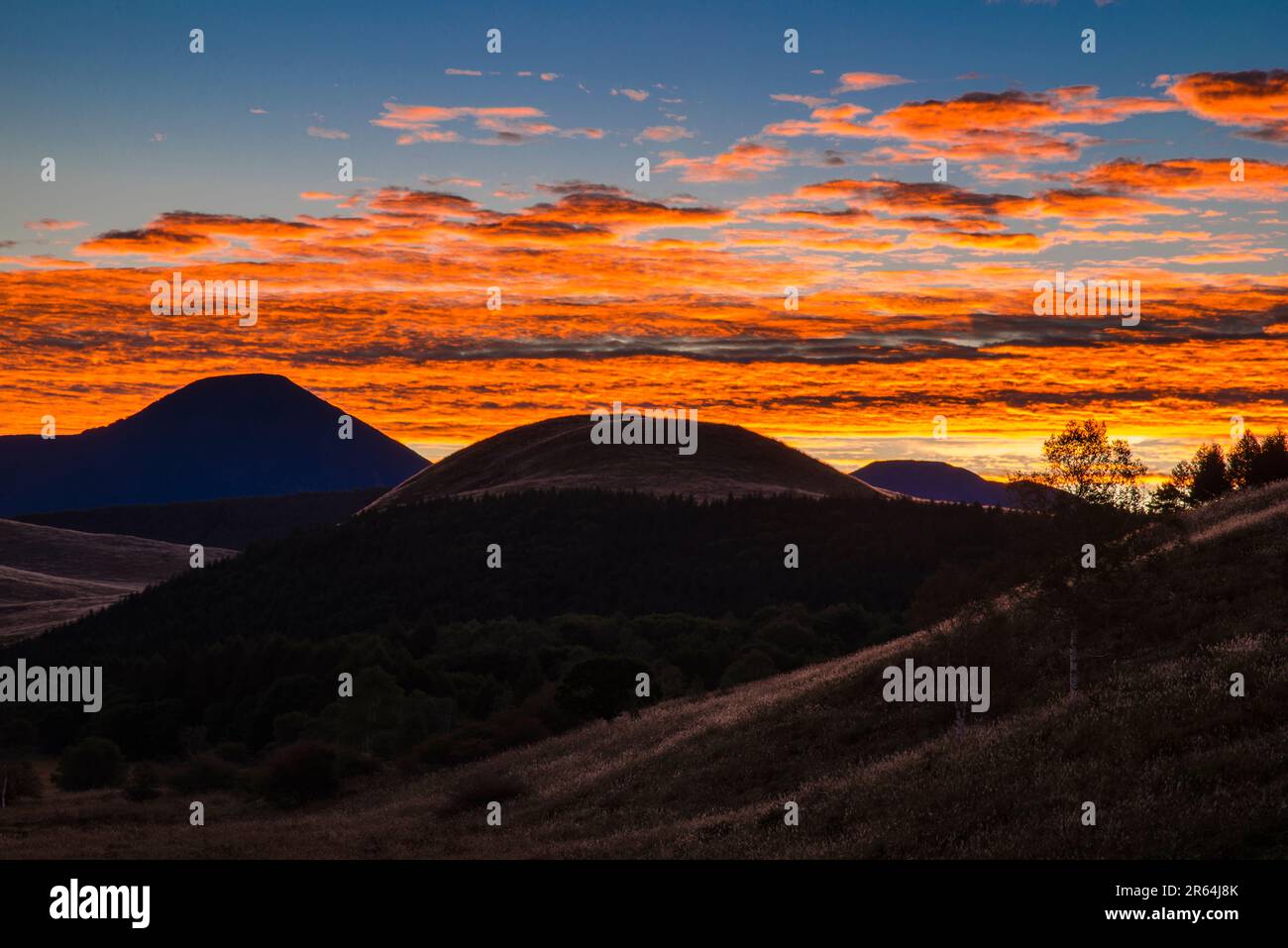 Morning glow clouds and Odoriba marshland Stock Photo - Alamy