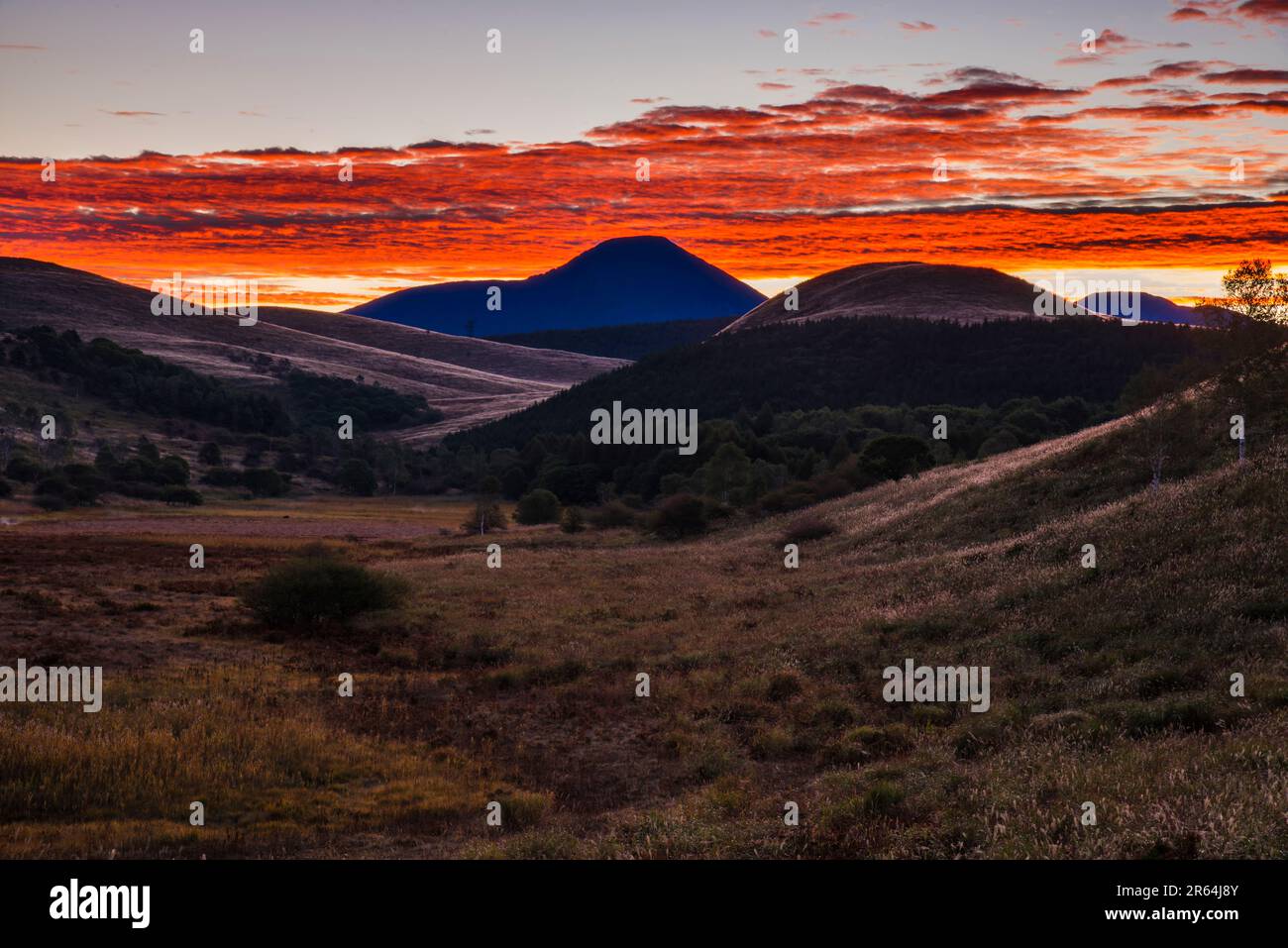 Odoriba wetland hi-res stock photography and images - Alamy
