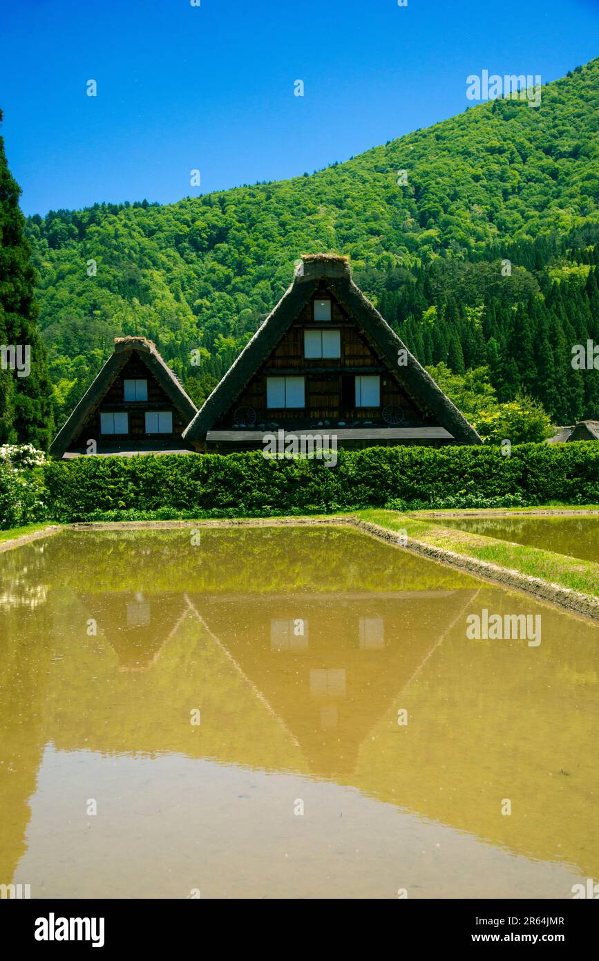 Shirakawa-go Gassho-Zukuri Village in spring Stock Photo - Alamy