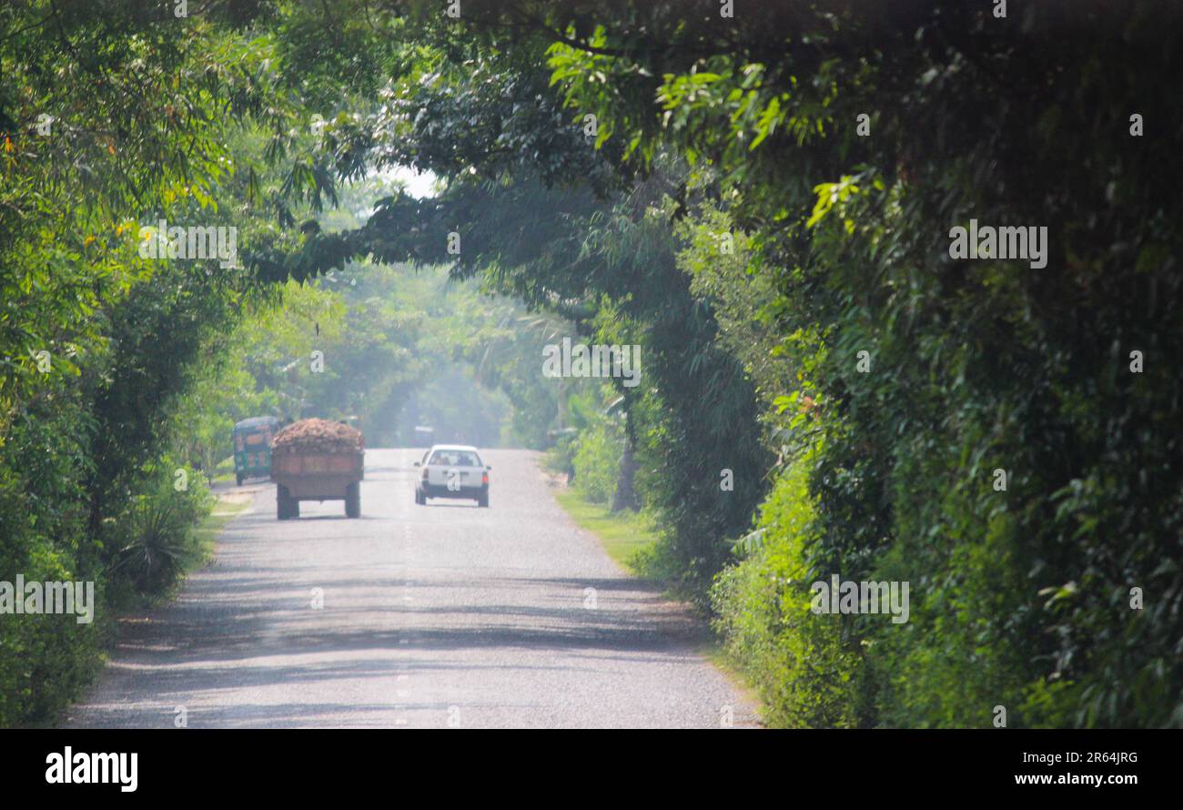 Beautiful road through a natural tunnel. Highway with tunnel like ...