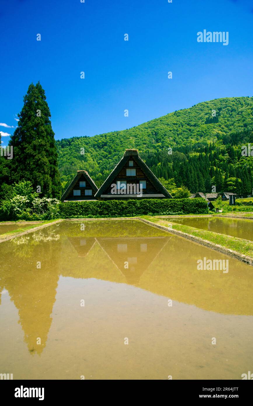 Shirakawa-go Gassho-Zukuri Village in spring Stock Photo - Alamy