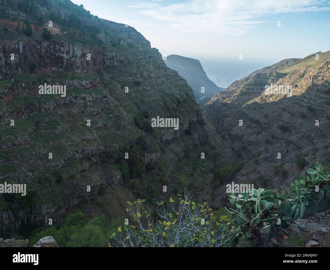 View of green valley with palm trees, cacti and sharp cliffs of La ...