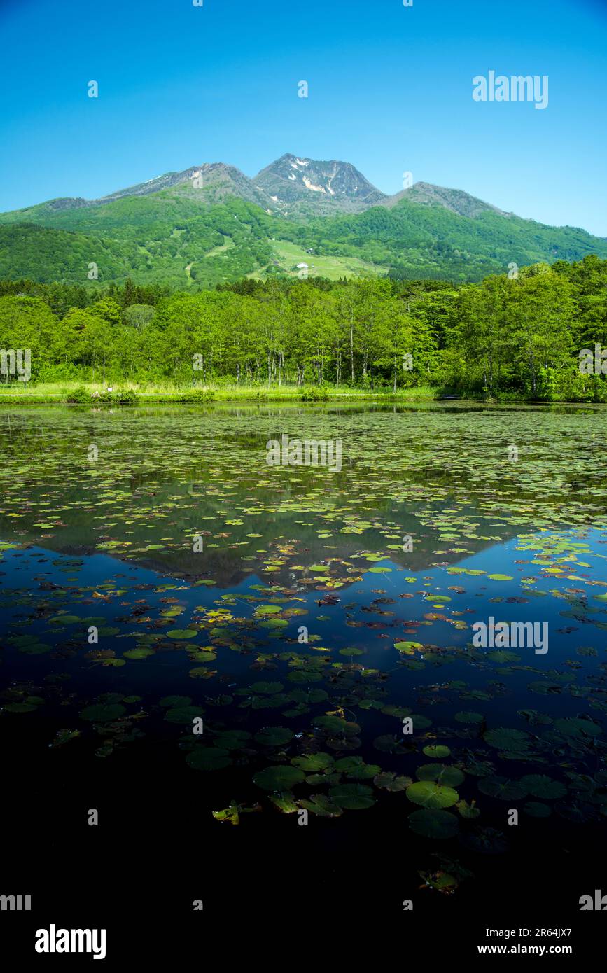 Myoko plateau hi-res stock photography and images - Alamy