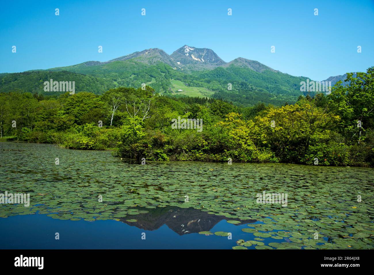 Imori pond hi-res stock photography and images - Alamy