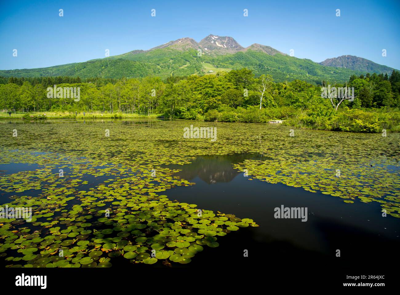 Myoko plateau hi-res stock photography and images - Alamy