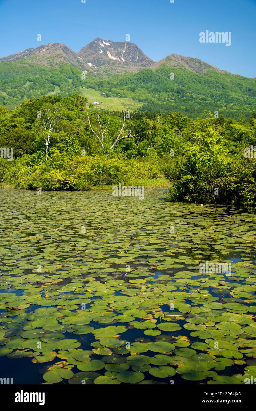 Mt. Myoko and Imori Pond Stock Photo - Alamy