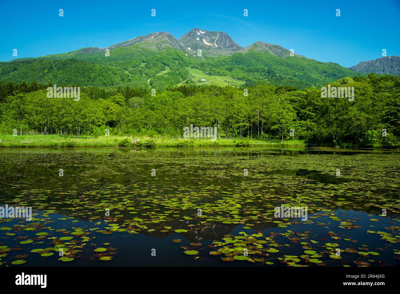 Myoko plateau hi-res stock photography and images - Alamy
