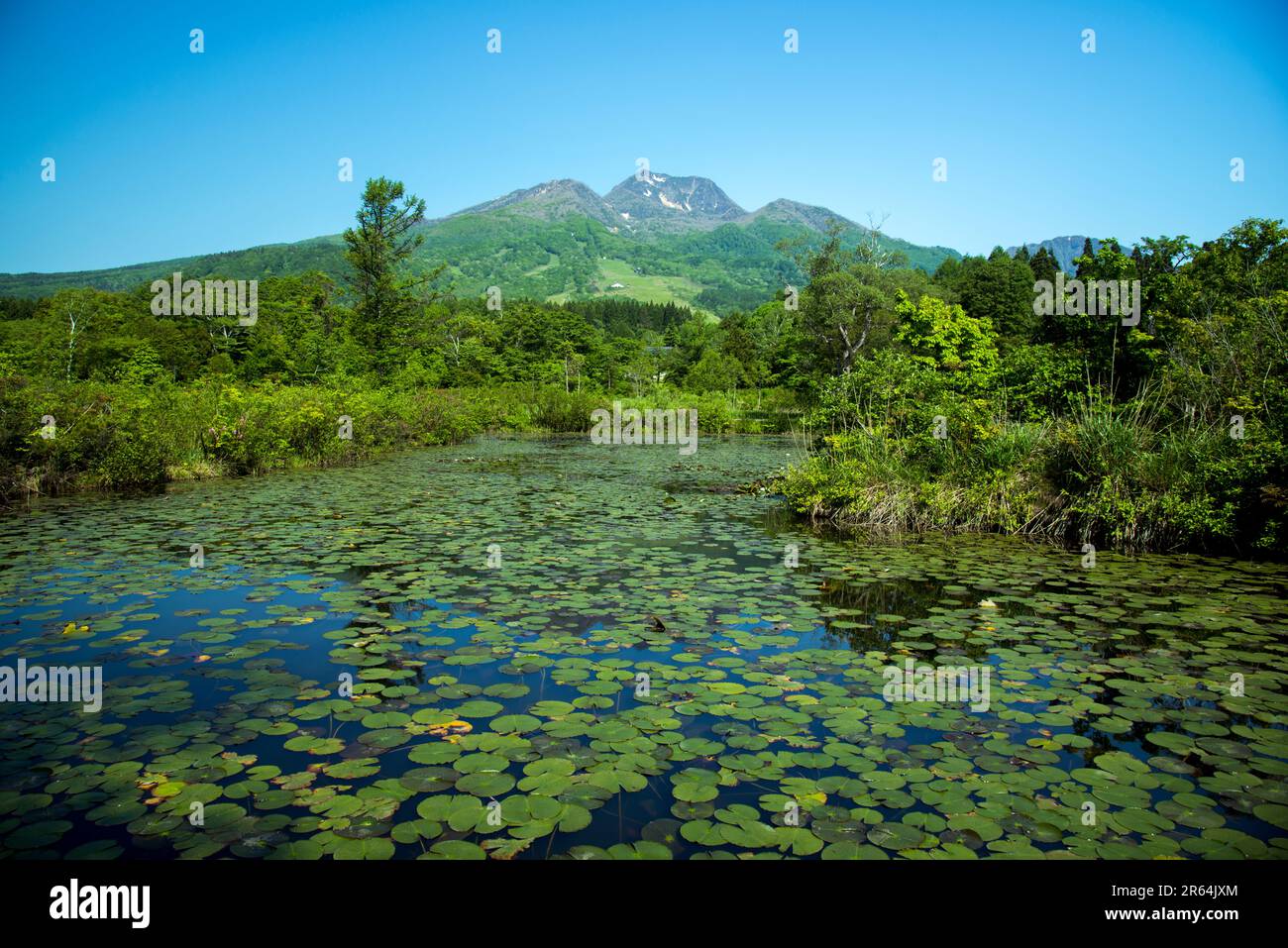 Mt. Myoko and Imori Pond Stock Photo - Alamy