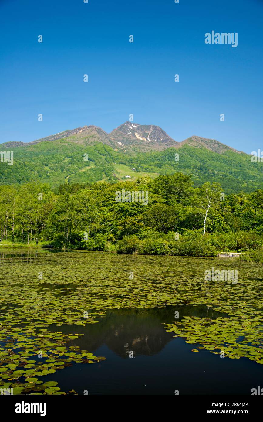 Mt. Myoko and Imori Pond Stock Photo - Alamy