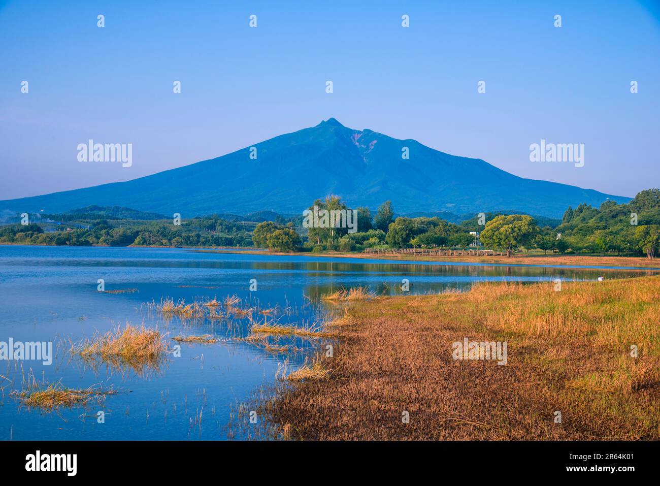 Tsugaru Lake Fujimiko and Mt. Iwaki Stock Photo - Alamy