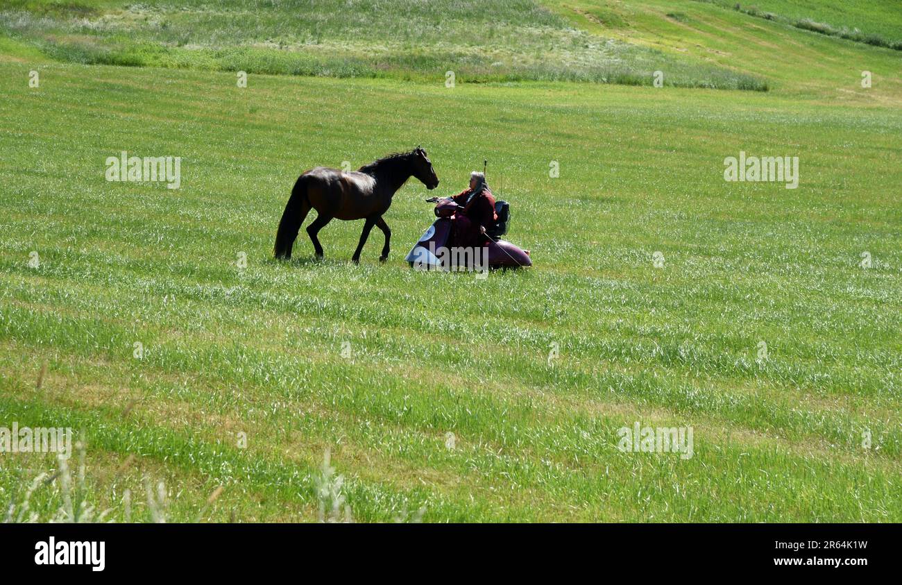 30 May 2023, Saxony, Bröhsen: At her hippocampus training center, owner ...