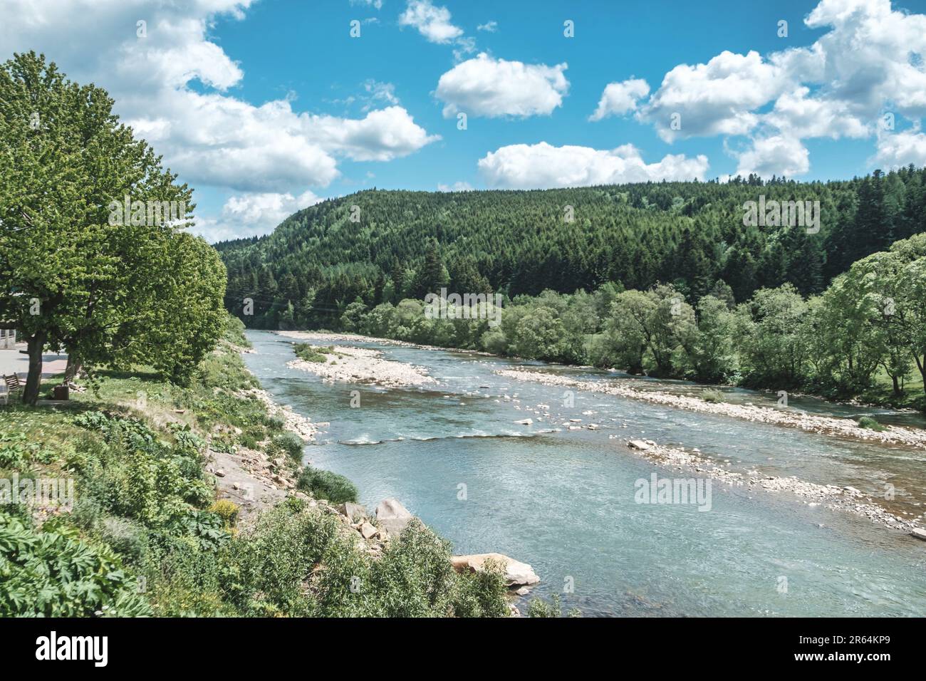 river in the mountains covers forest, beautiful river between two ...