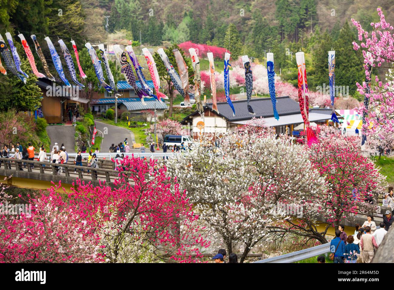Hanamomo no sato village Stock Photo - Alamy