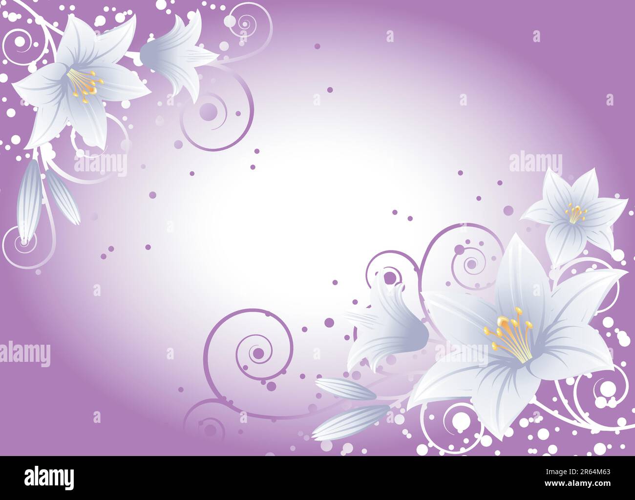 Lilium flowers Stock Vector Images - Alamy