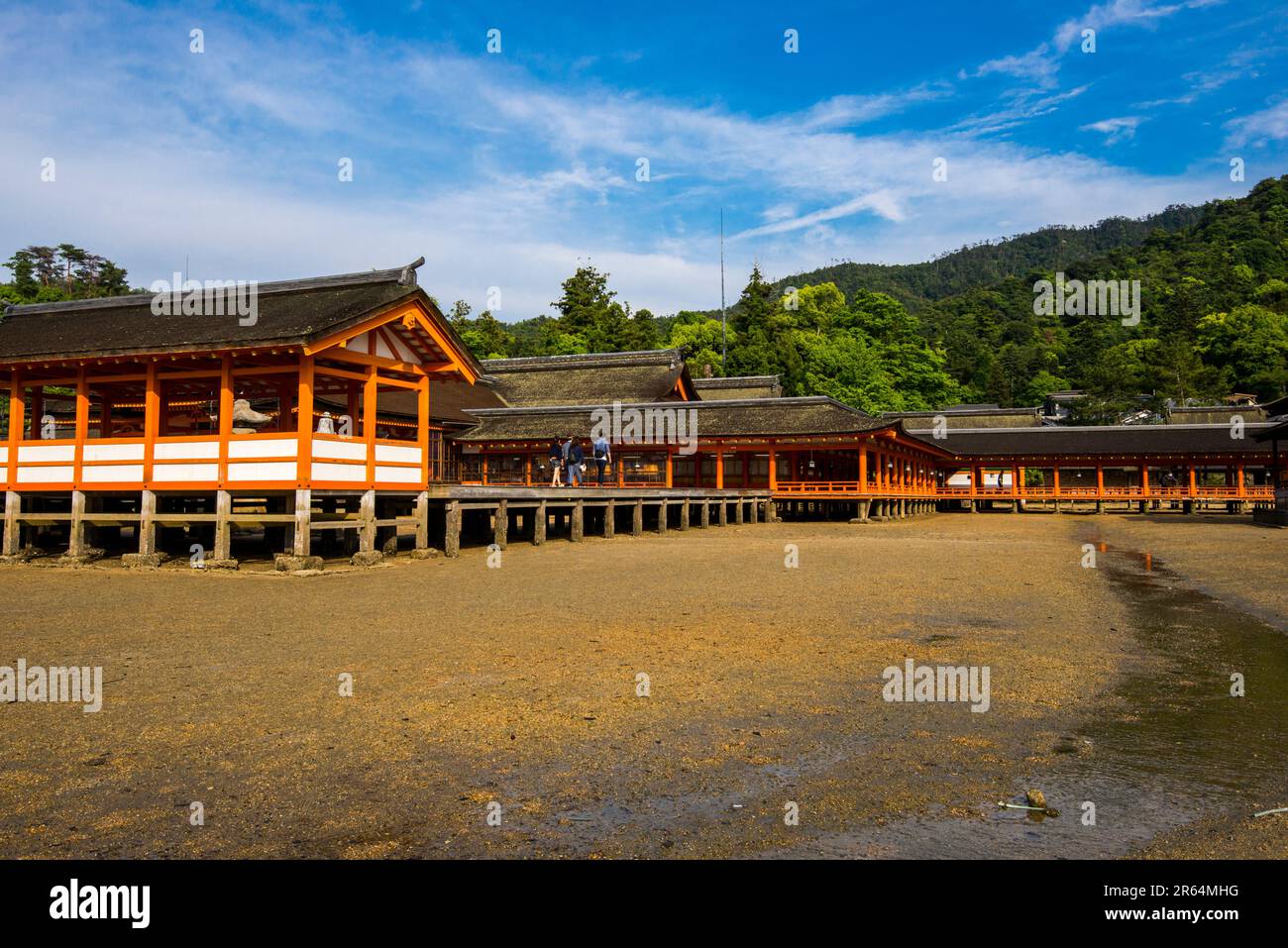 Painted buttocks hi-res stock photography and images - Alamy