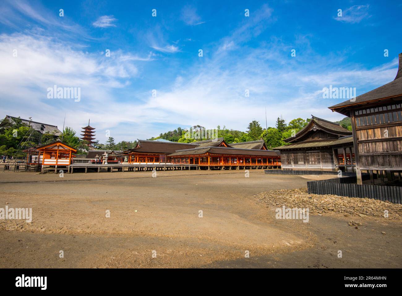 Painted buttocks hi-res stock photography and images - Alamy