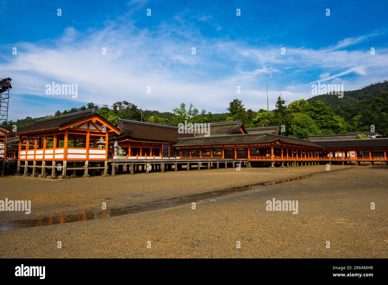 Painted buttocks hi-res stock photography and images - Alamy