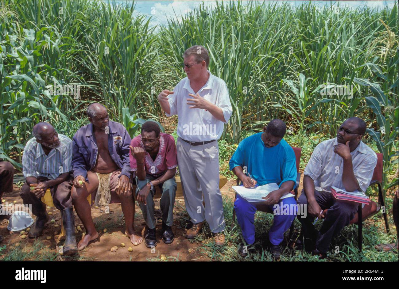 Swaziland, people of Intamakuphila-village are discussing with a ...