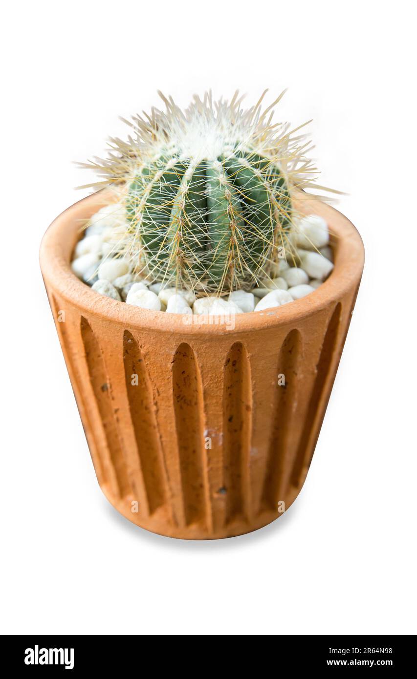 Clay pot isolated collection hi-res stock photography and images - Alamy