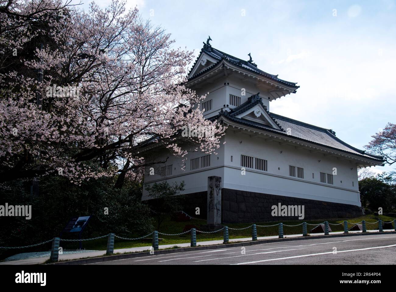 Cherry blossoms and Sendai Castle Otemon side turret Stock Photo - Alamy