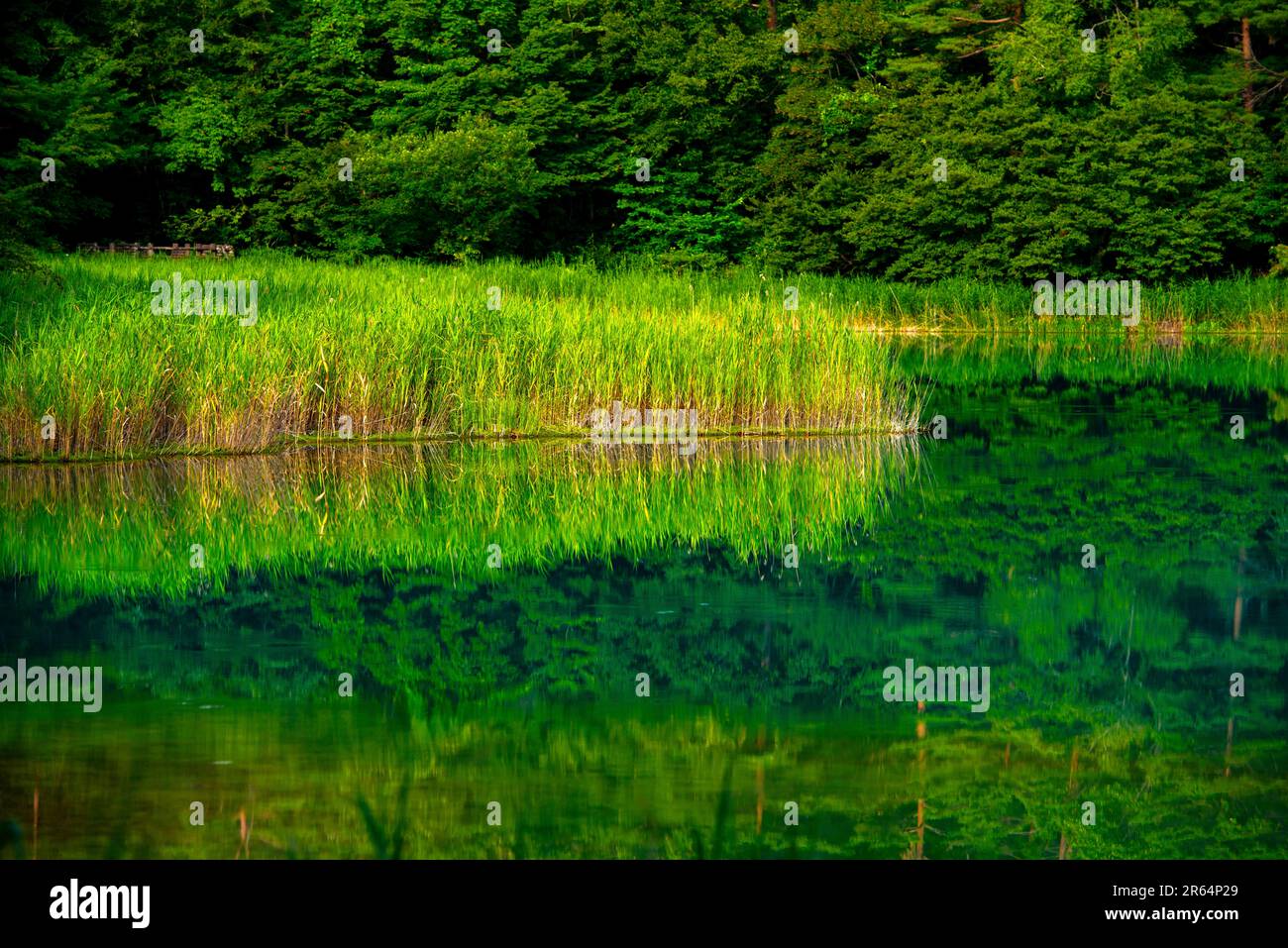 Benten numa hi-res stock photography and images - Alamy