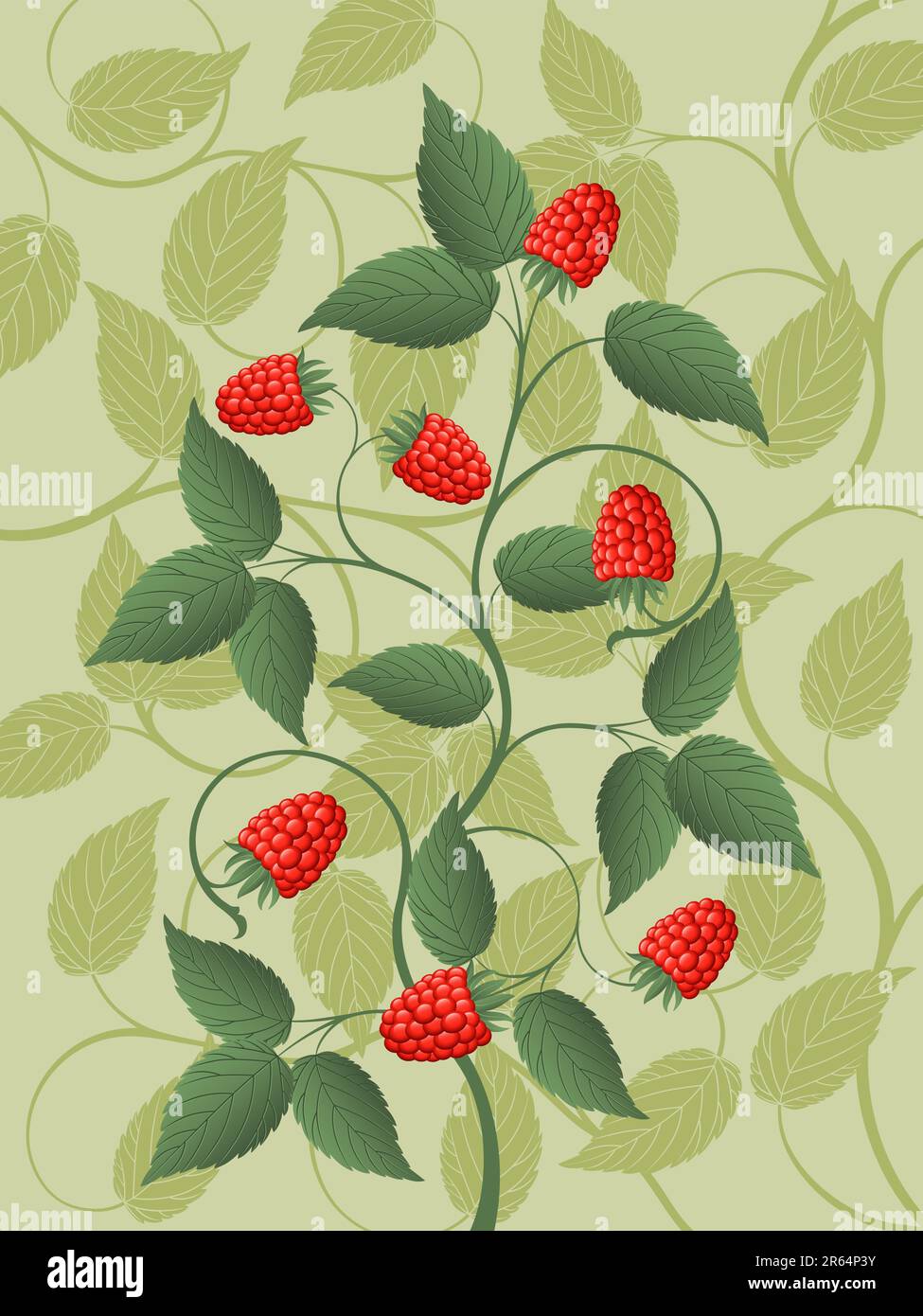 Illustration raspberry Stock Vector Images - Alamy