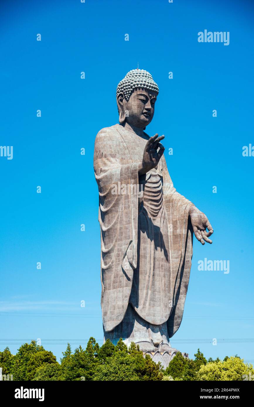 Ushiku Daibutsu Wallpaper The Front Of The Ushiku Daibutsu Seen From