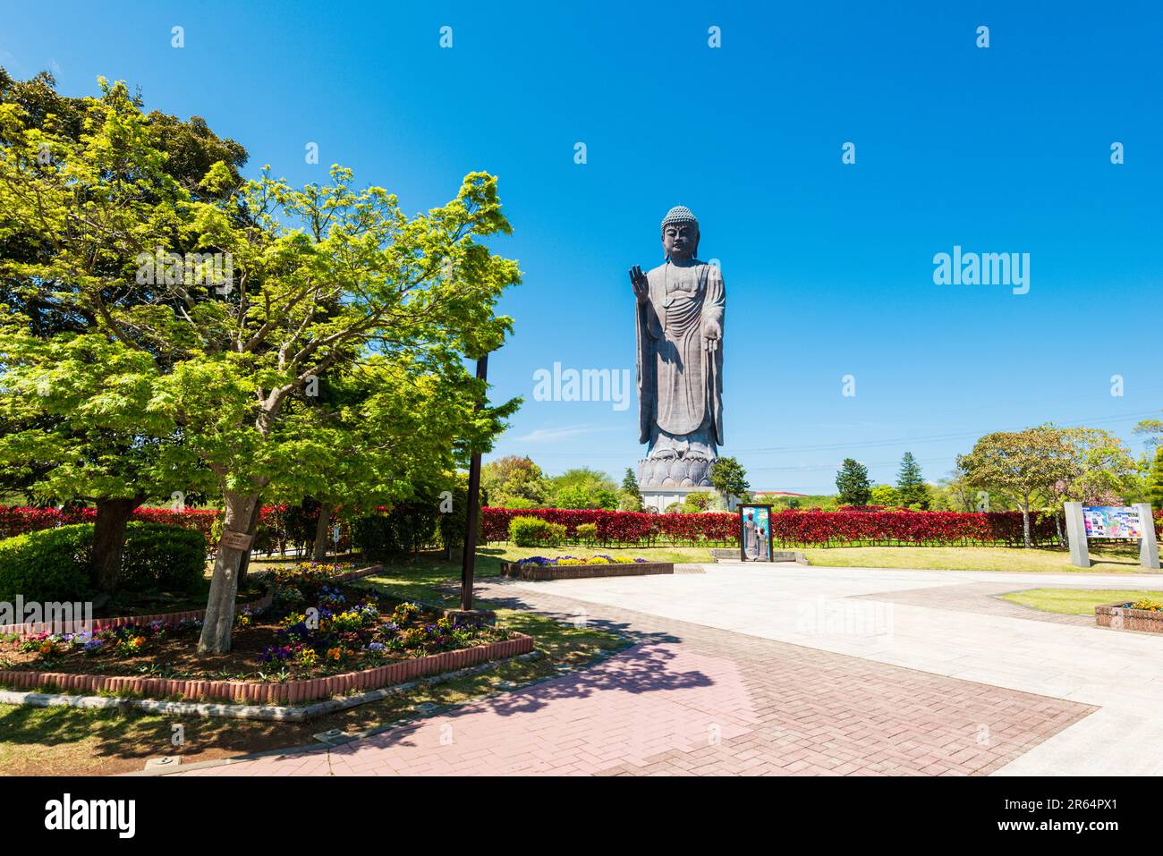 Ushiku daibutsu japan hi-res stock photography and images - Alamy