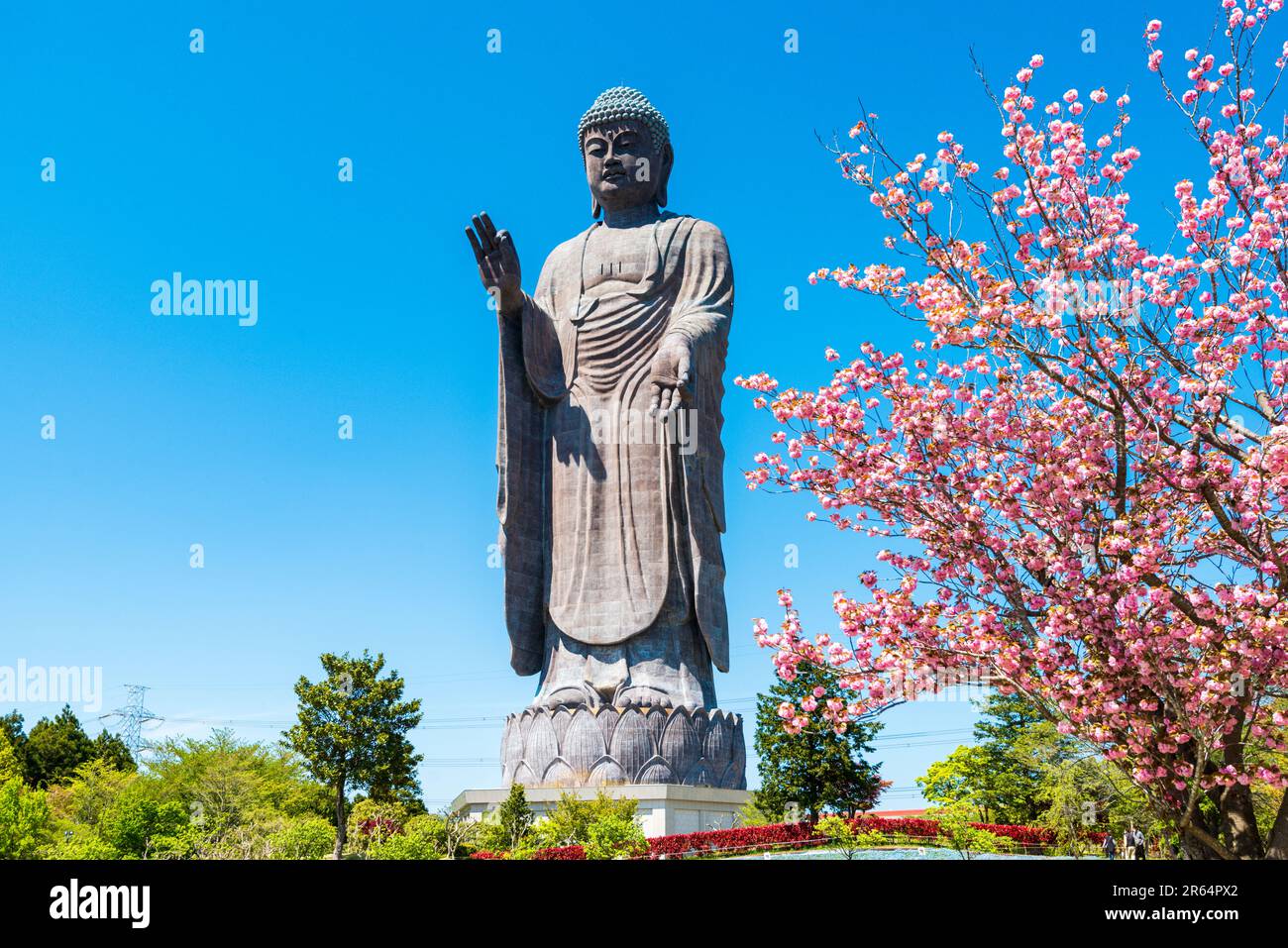 Ushiku daibutsu hi-res stock photography and images - Alamy
