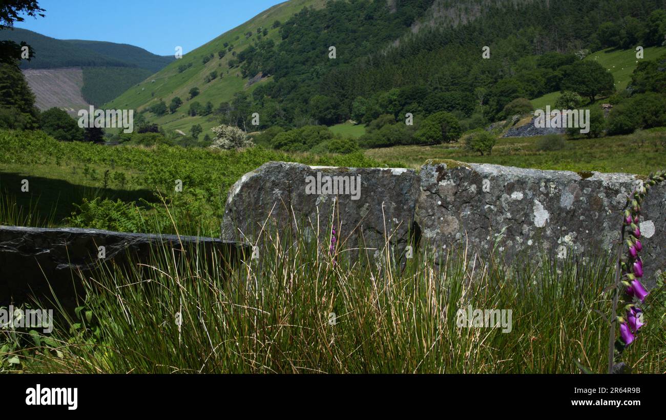 Traditional stone fence slabs in Ratgoed Valley Stock Photo - Alamy