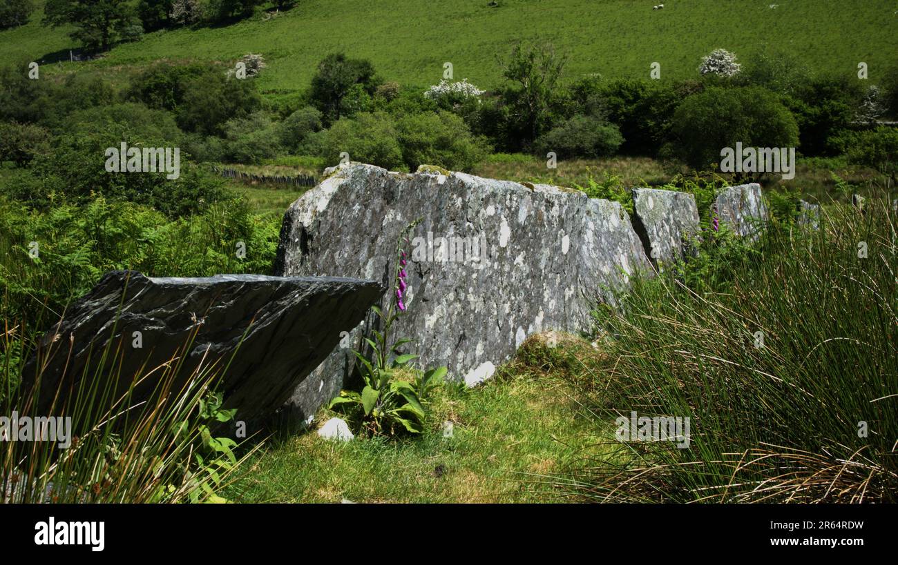 Traditional stone fence slabs in Ratgoed Valley Stock Photo - Alamy