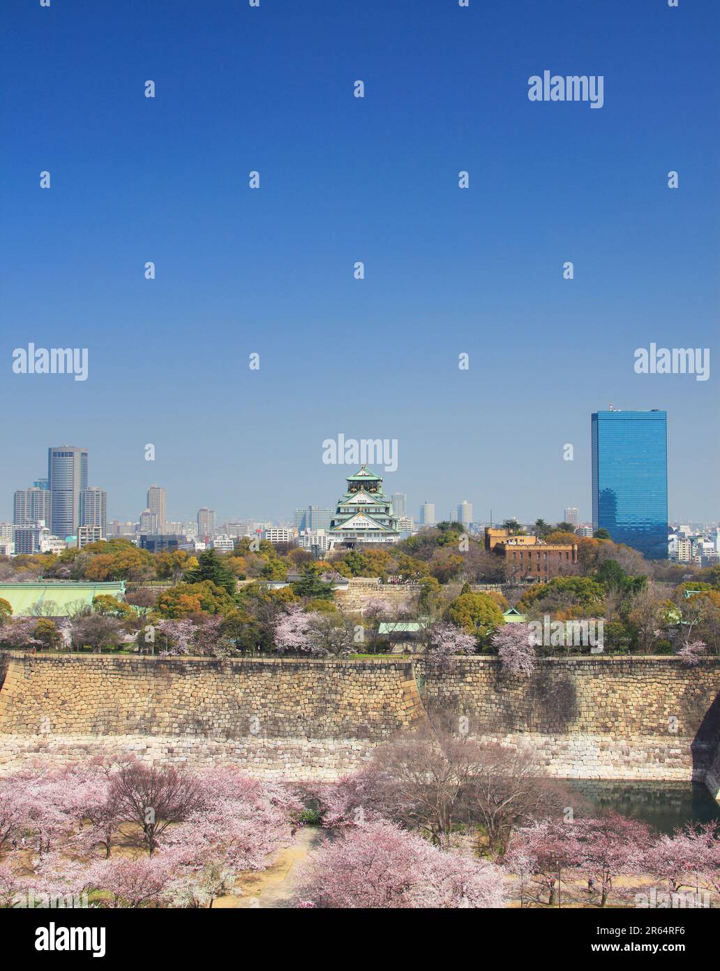 Blooming cherry blossom trees at Osaka Castle Stock Photo - Alamy