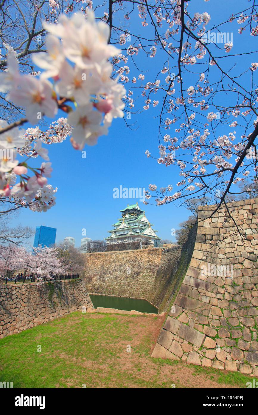 Blooming cherry blossom trees at Osaka Castle Stock Photo - Alamy
