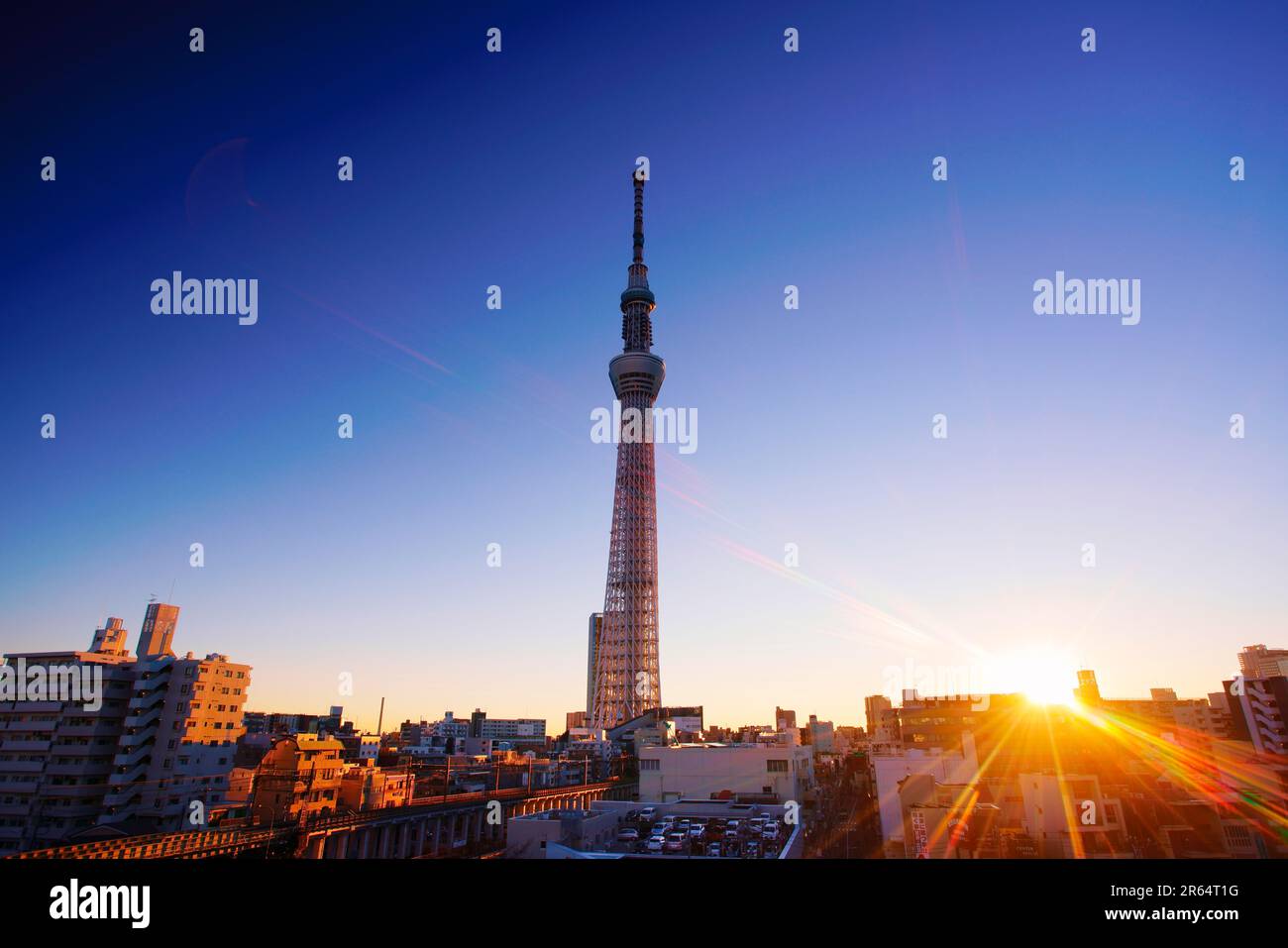 Morning sun and Tokyo Sky Tree Stock Photo - Alamy