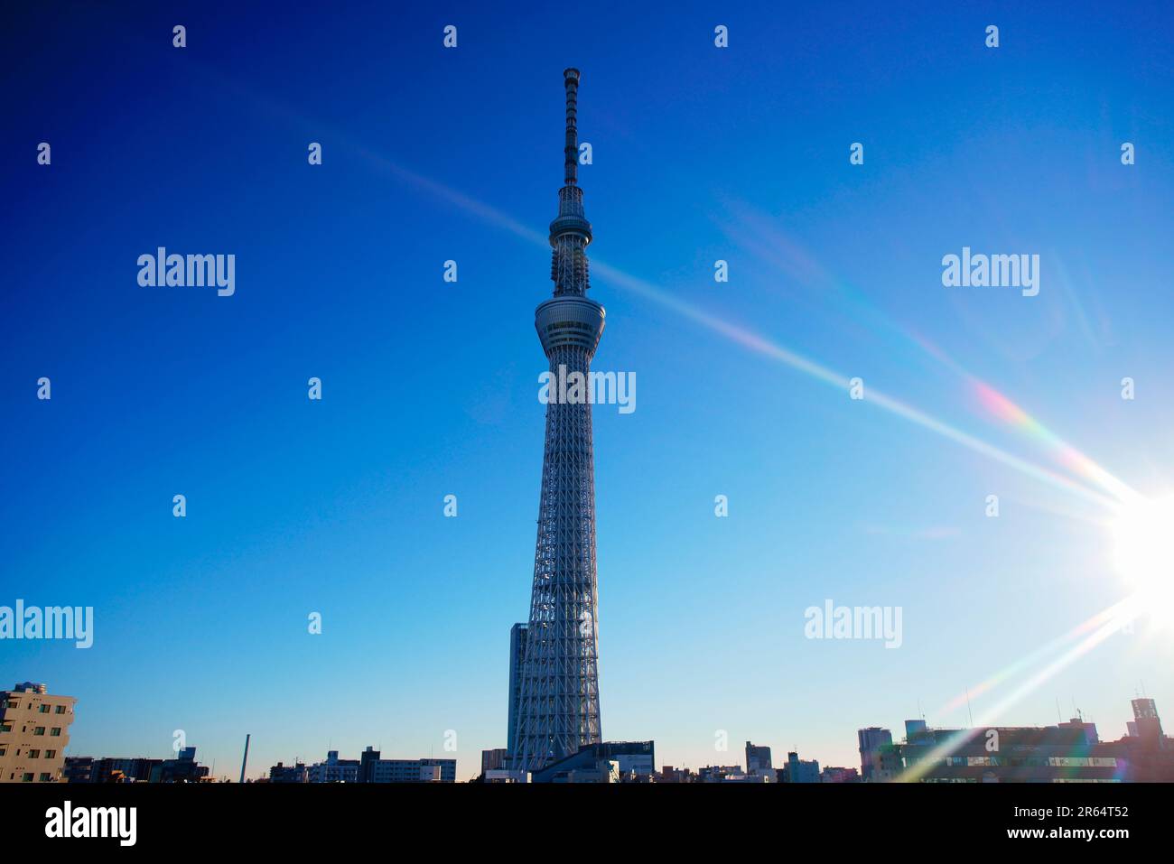 Glow of the sun and Tokyo Sky Tree Stock Photo - Alamy