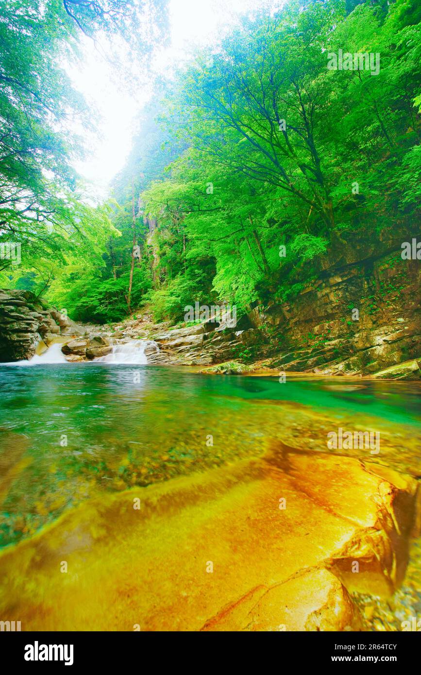 Creek in the rain hi-res stock photography and images - Alamy